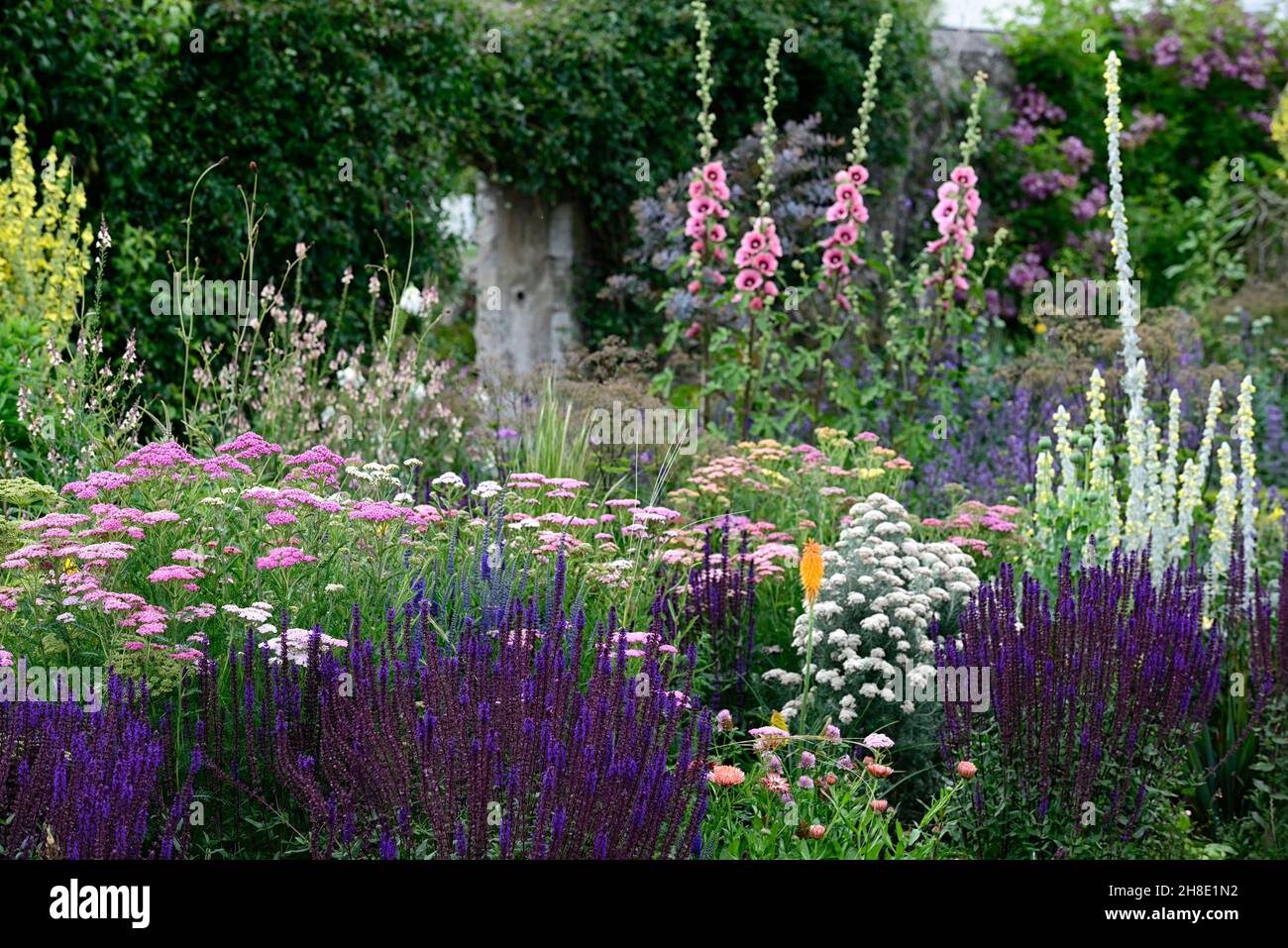 Layered planting garden border hi-res stock photography and images - Alamy