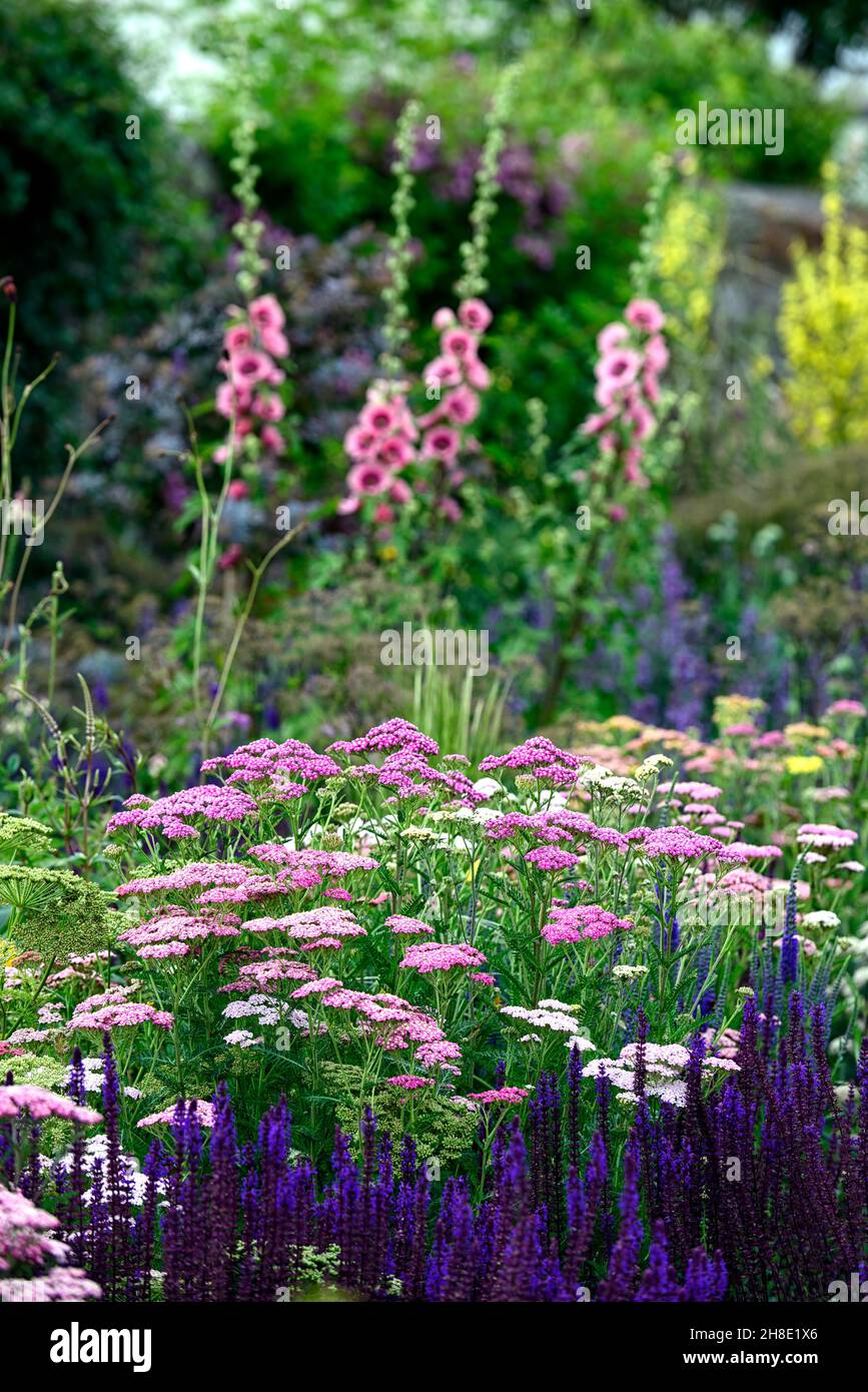 Layered planting garden border hi-res stock photography and images - Alamy