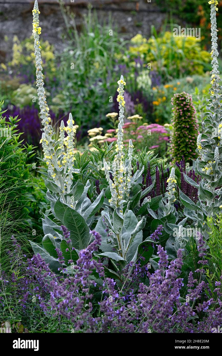 Layers of planting hi-res stock photography and images - Alamy