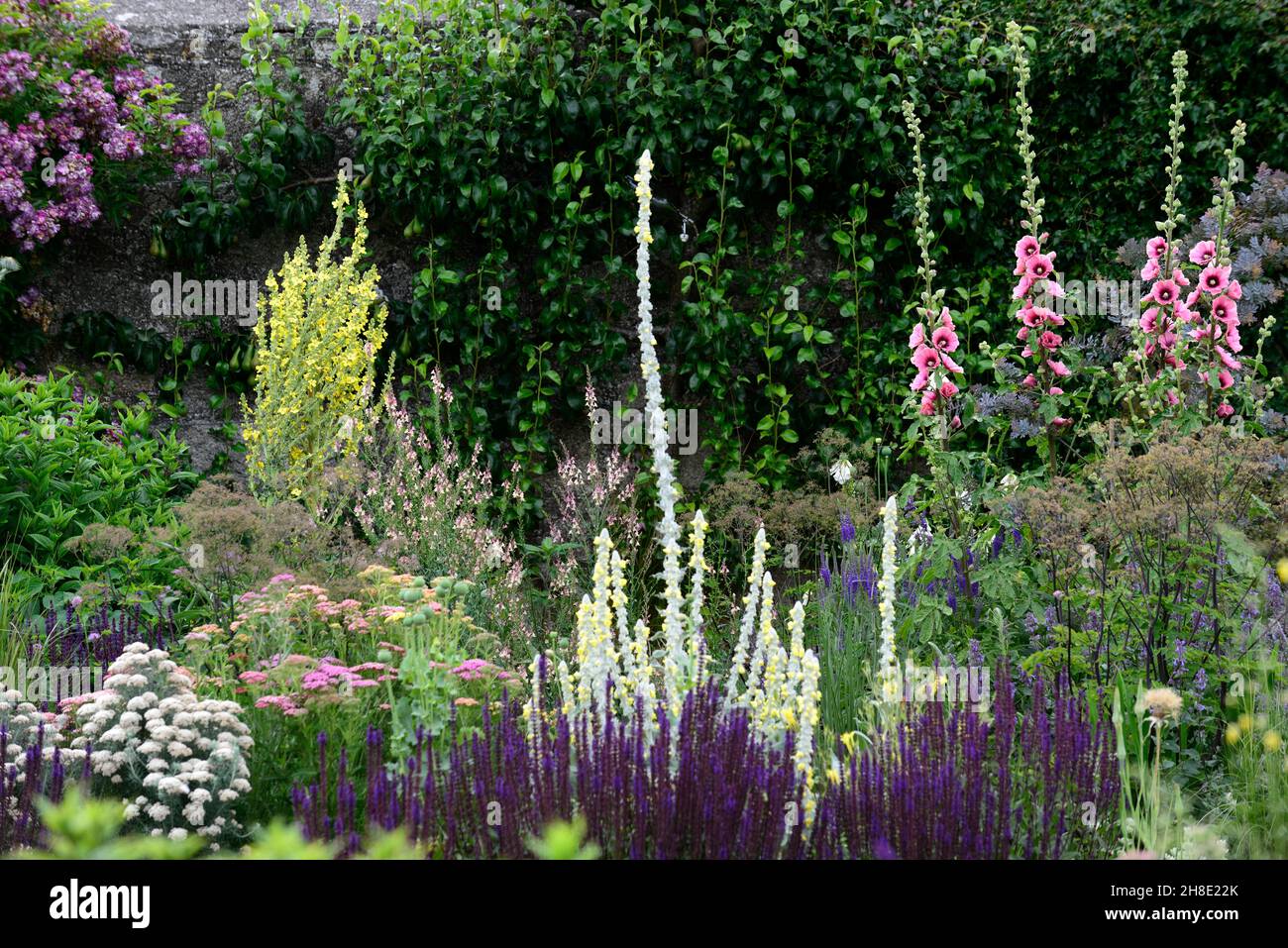 Layered planting garden border hi-res stock photography and images - Alamy