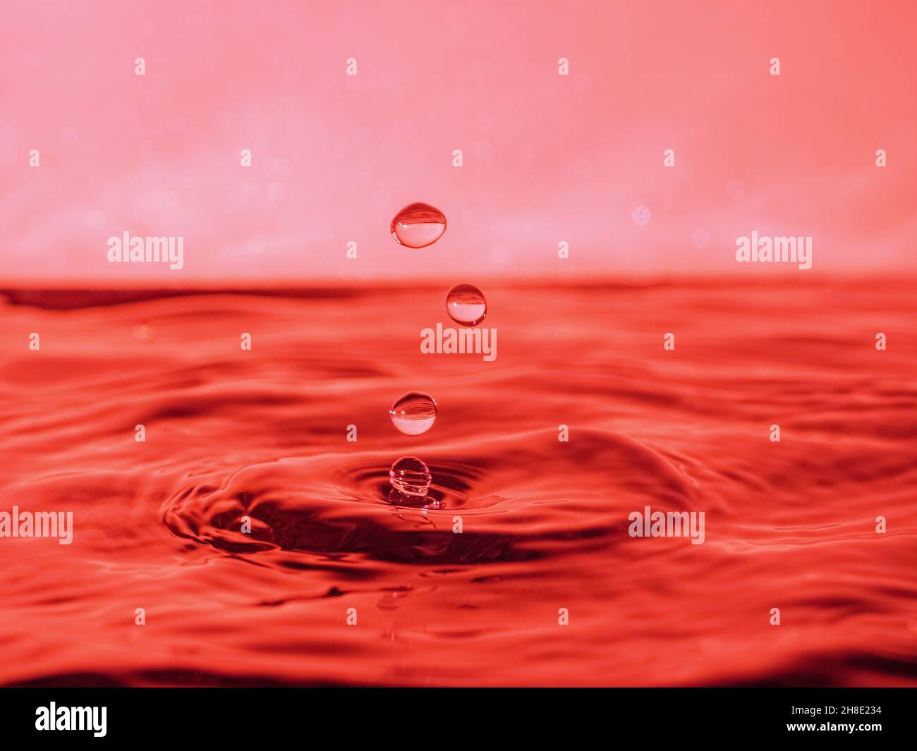 A red drop drips into the water and creates splashes of different ...