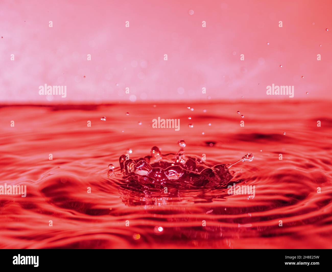 A red drop drips into the water and creates splashes of different ...