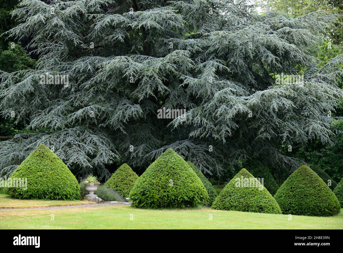 Garden structure hi-res stock photography and images - Alamy