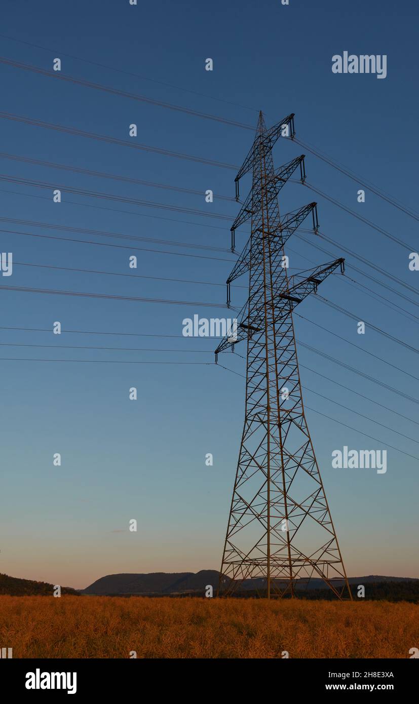 Large Electricity pylon also overhead line pylon stands in the plant ...