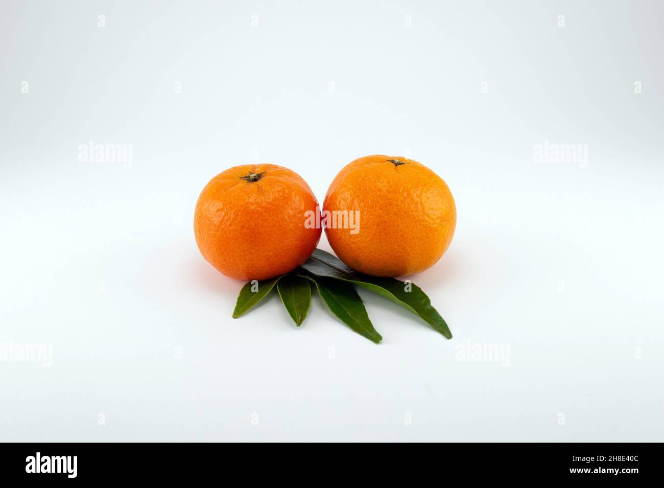 Two fresh ripe tangerines hi-res stock photography and images - Alamy