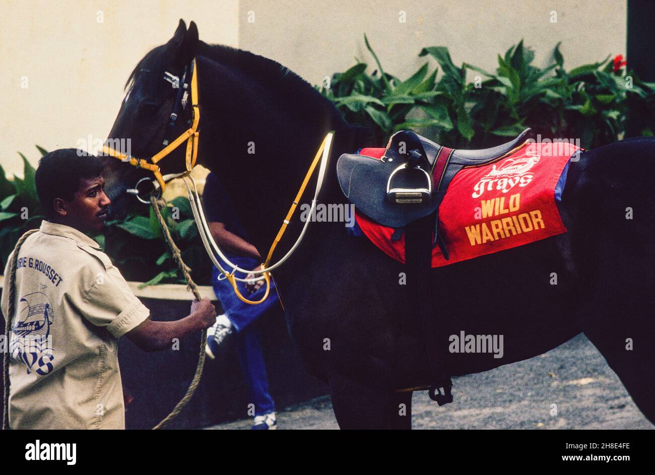 Early morning training at the Mauritius Turf Club at Port Louis ...