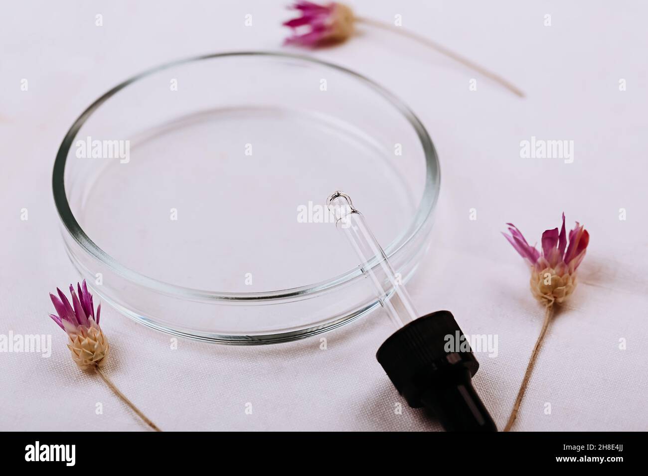 Abstract cosmetic laboratory. white background organic flax. Natural ...
