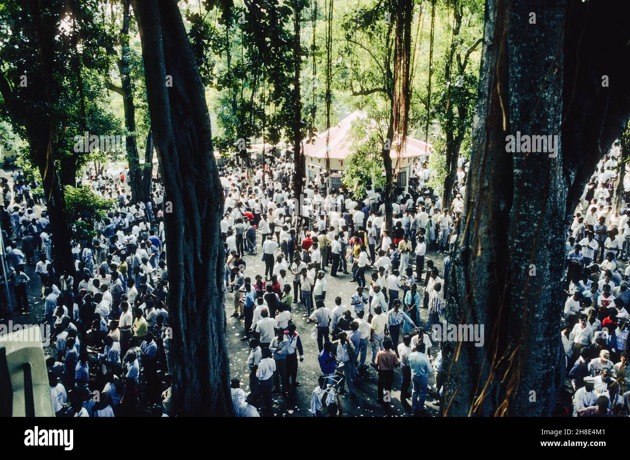 Racing day in Port Louis: Hundreds of Mauritian horse racing fans crowd ...