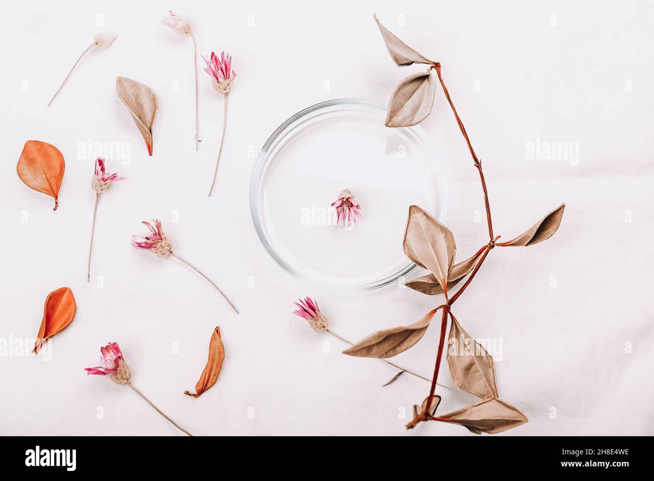 Abstract cosmetic laboratory. white background organic flax. Natural ...