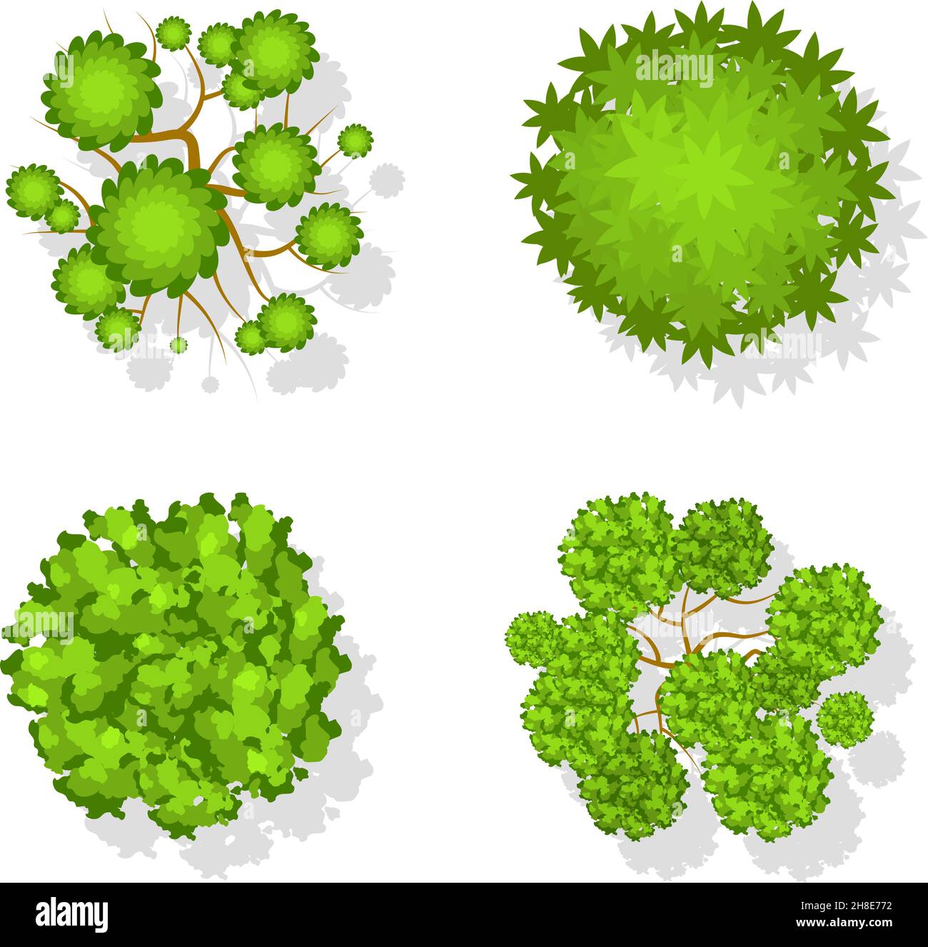 Trees and bushes top view. Landscape isolated elements, green icons ...