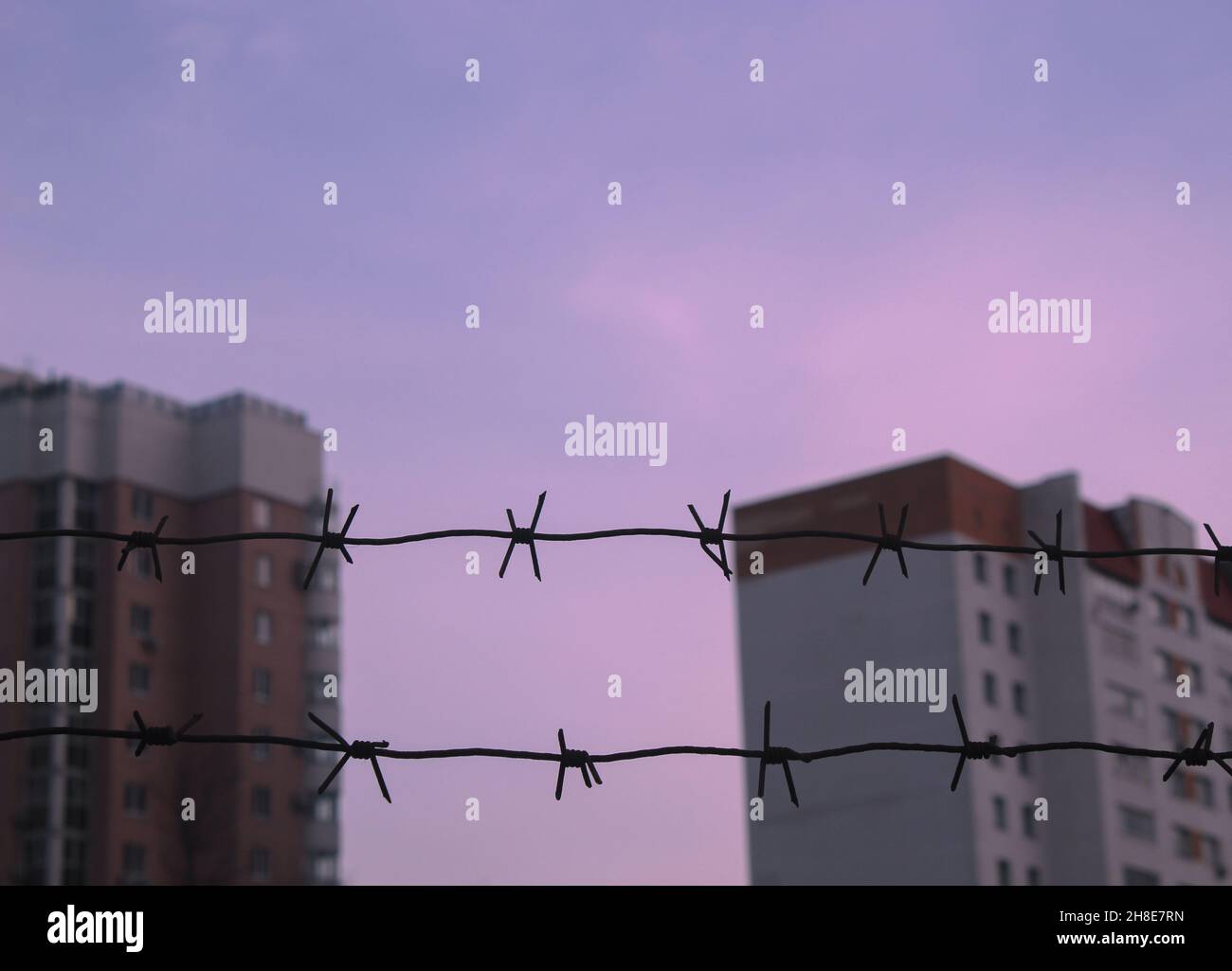 Behind the barbed wire Stock Photo - Alamy