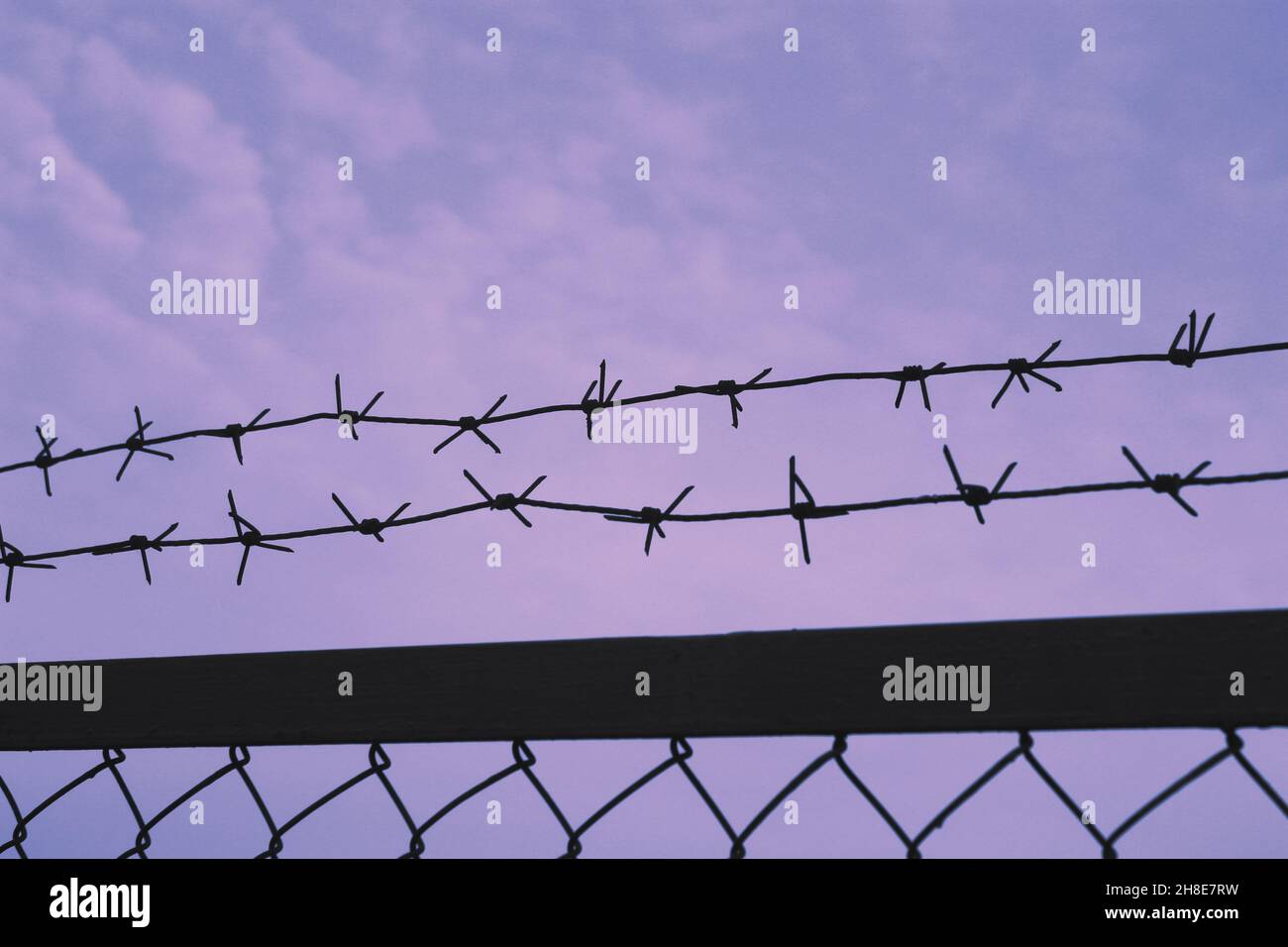 Behind the barbed wire Stock Photo - Alamy