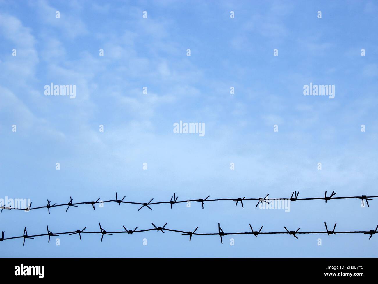 Behind the barbed wire Stock Photo - Alamy