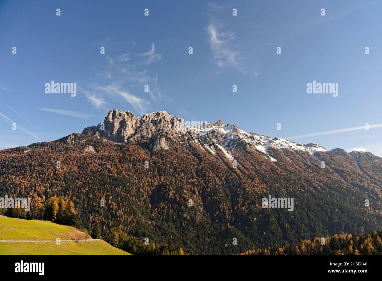 Daylight forest hi-res stock photography and images - Alamy