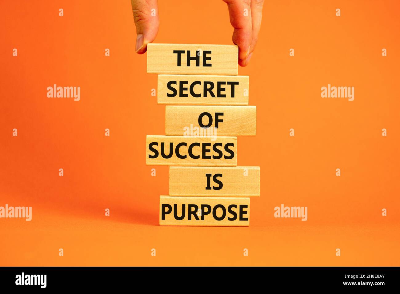 Success and purpose symbol. Wooden blocks with concept words The secret ...