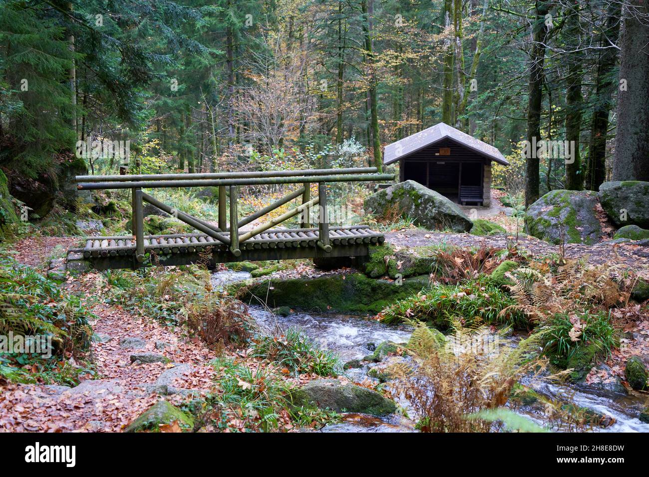 Wooden Bridge a cross the water in the black forest, hut in the ...