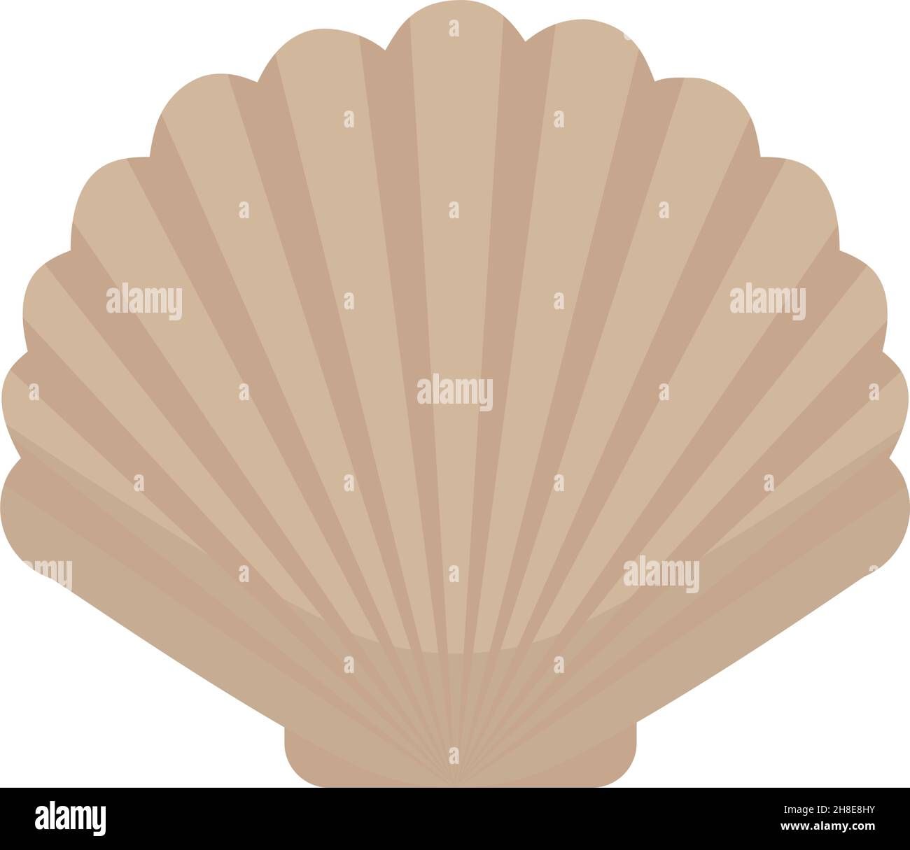 seashell icon on white background Stock Vector Image & Art - Alamy