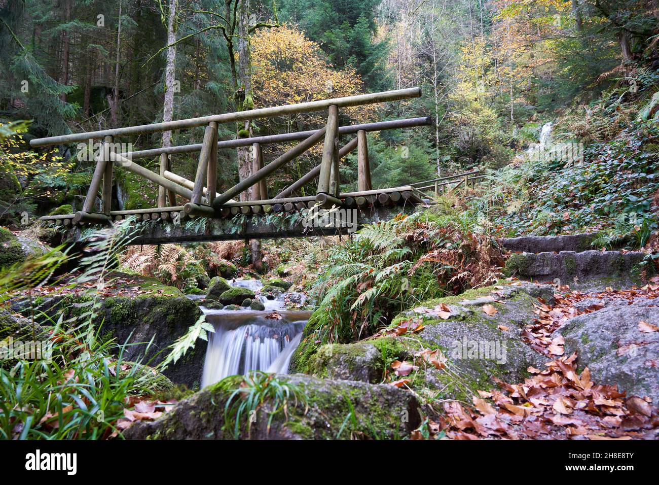 wooden bridge over a cascade from a waterfall in the black forest, many ...