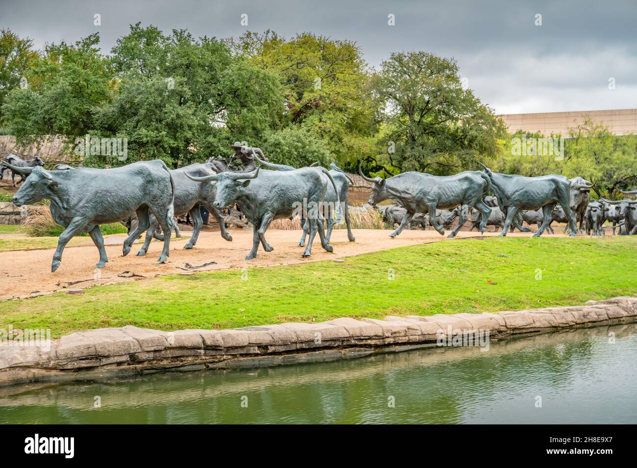 Cattle drive hi-res stock photography and images - Alamy