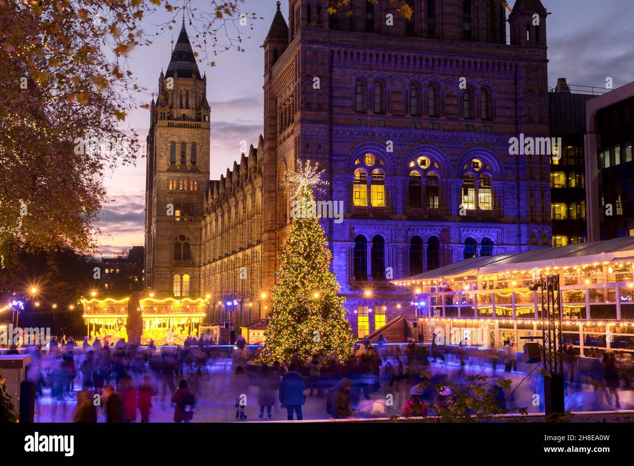 People seen skating around a Christmas Tree set up in the Natural ...