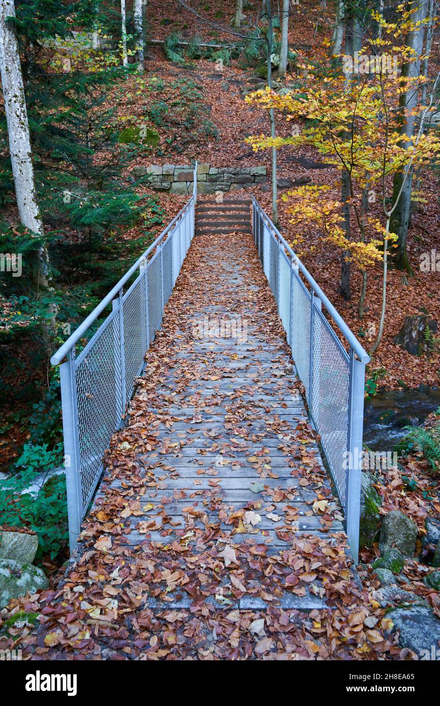 A steel bridge leads over a river in the black forest, through a lot of ...