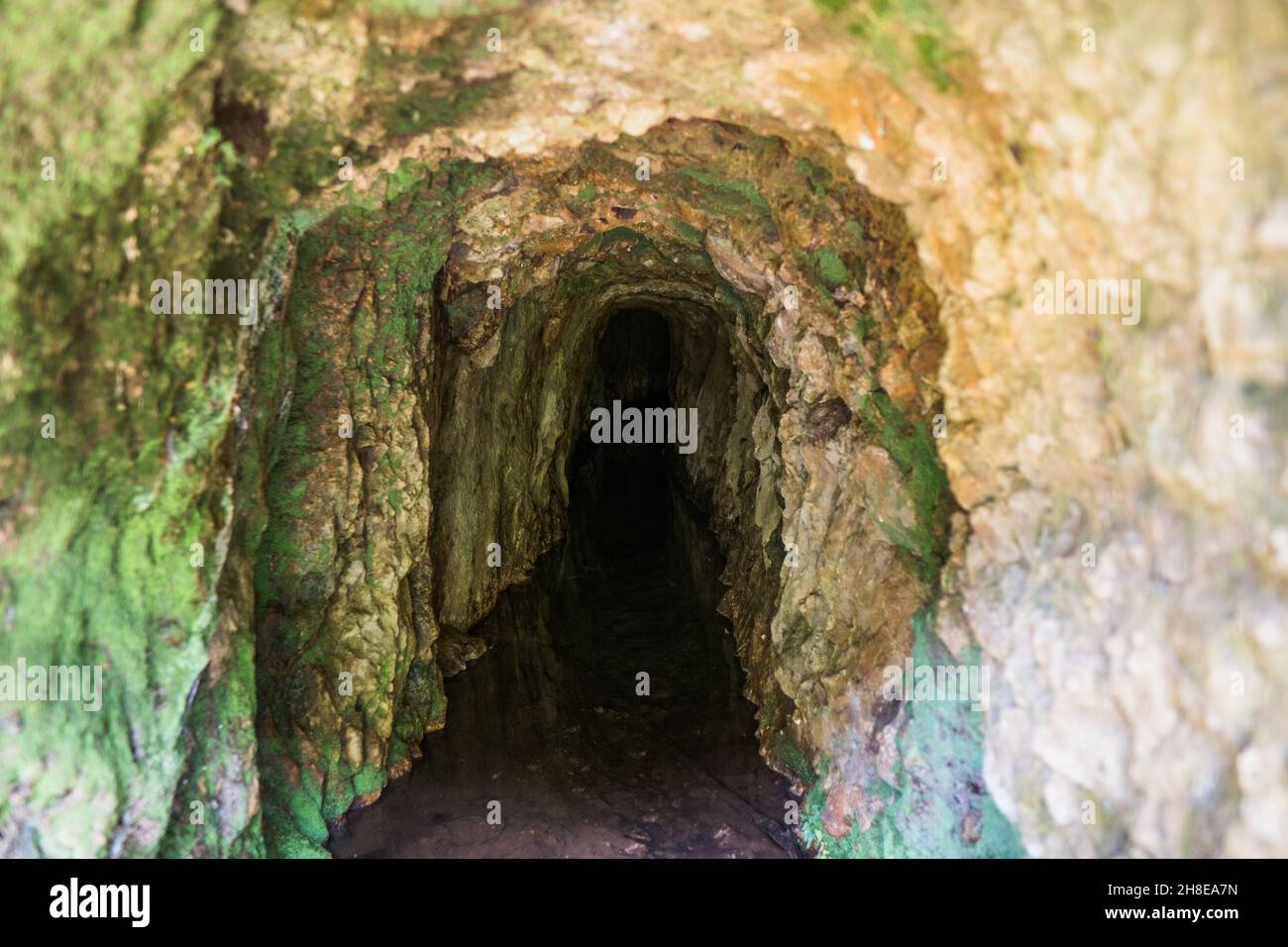 old mining tunnel, part of the Karangahake gorge walkways Stock Photo ...