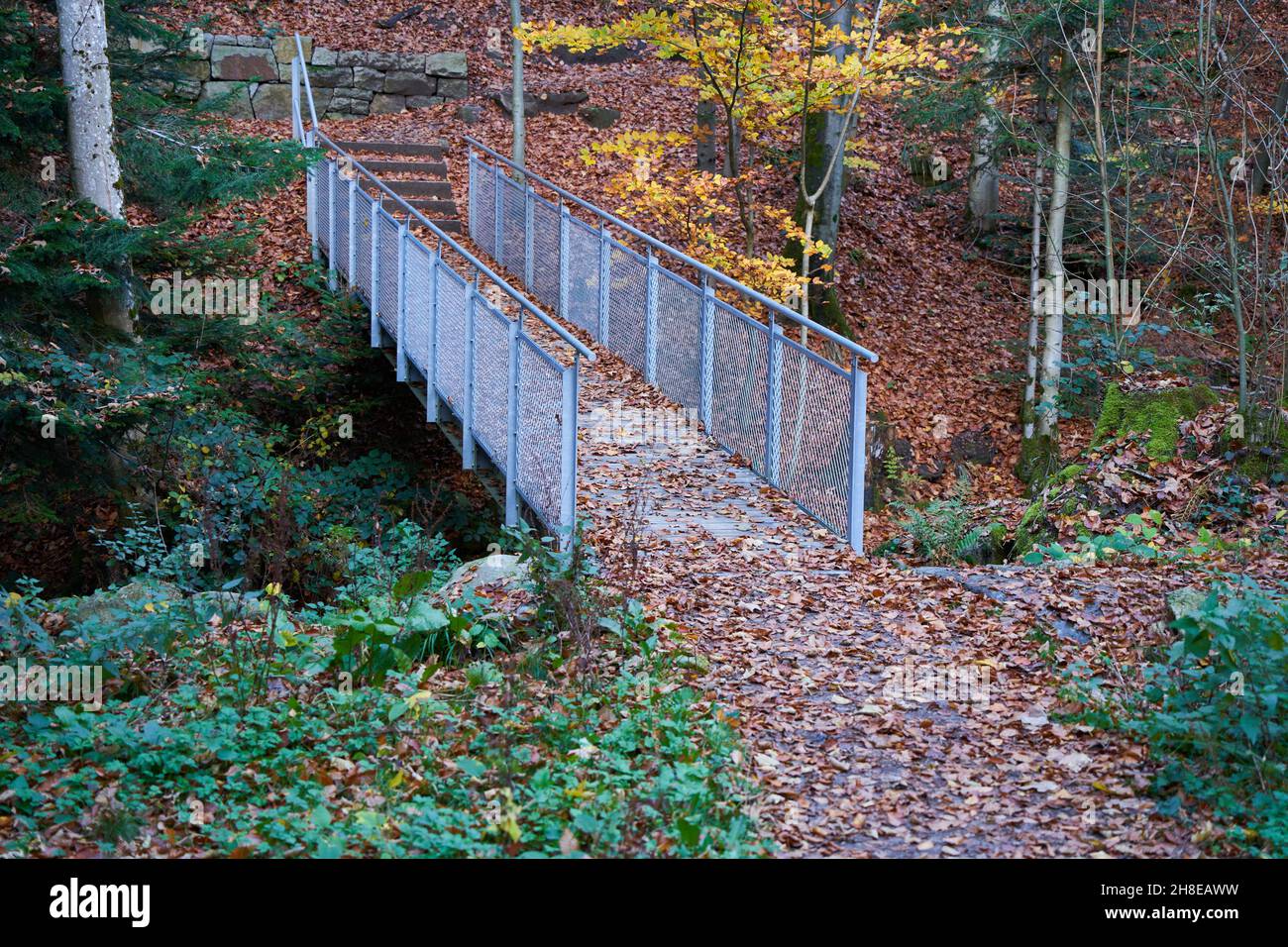A steel bridge leads over a river in the black forest, through a lot of ...