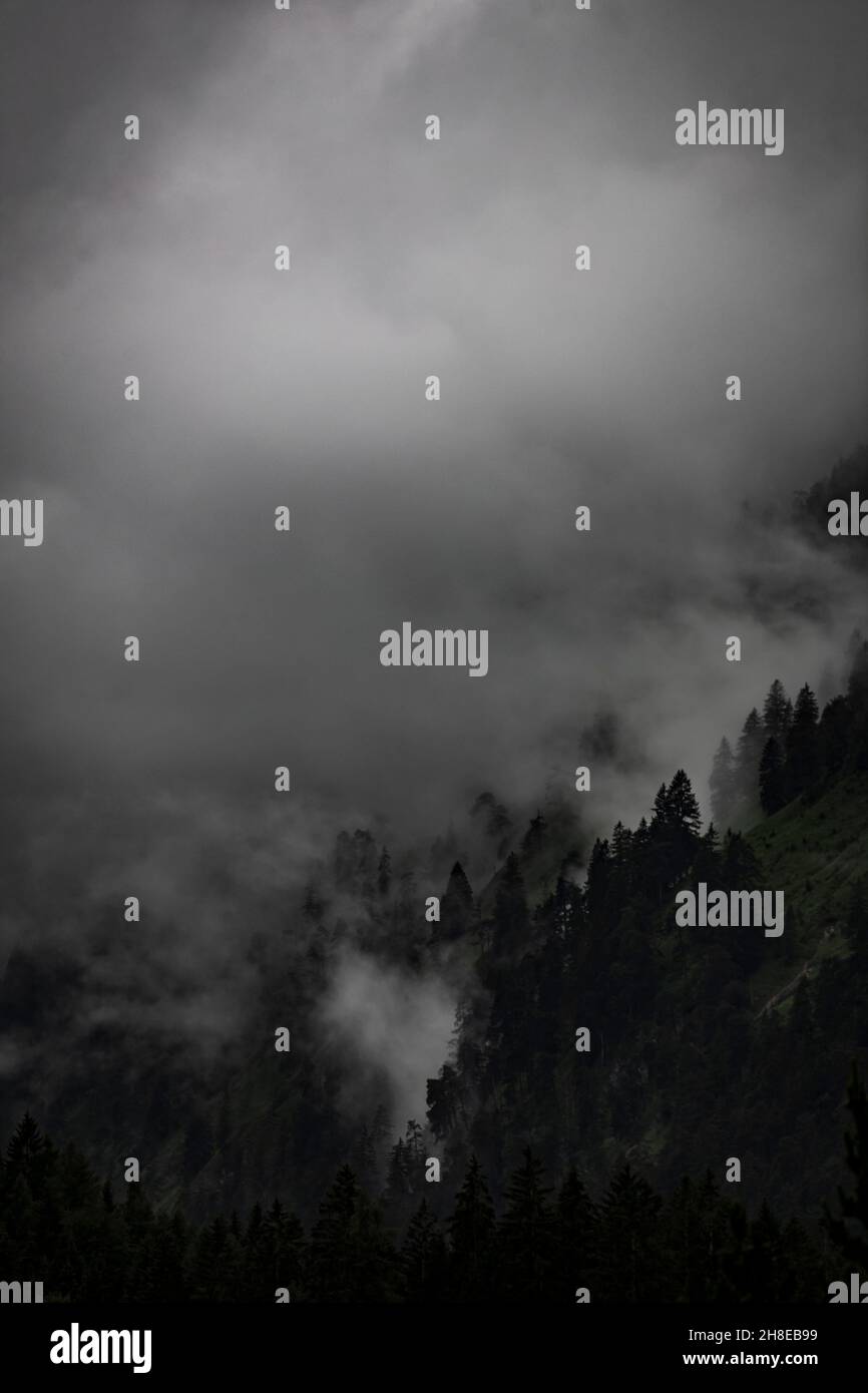 Nebel an den bergen hi-res stock photography and images - Alamy