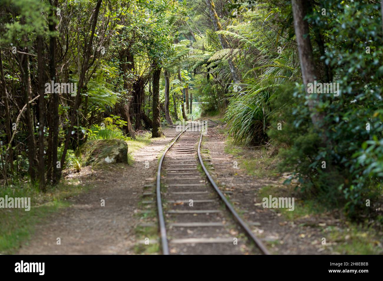 Karangahake Gorge Mining Train Track through Bush Jungle Track Stock ...