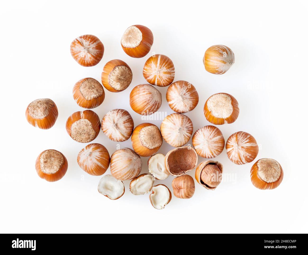 Heap of hazelnuts isolated on white background Stock Photo - Alamy