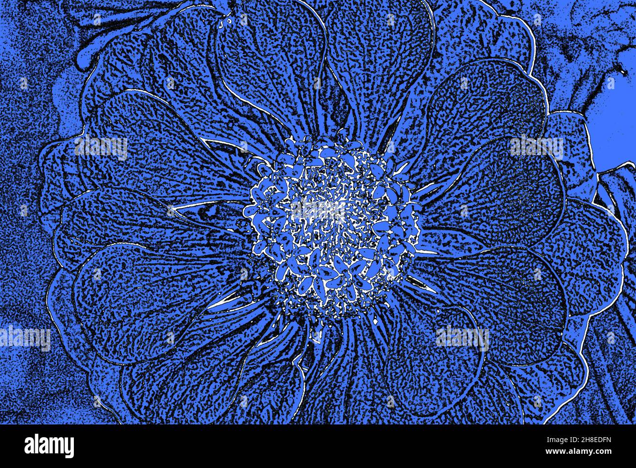 Drawing of a large blue flower Stock Photo - Alamy