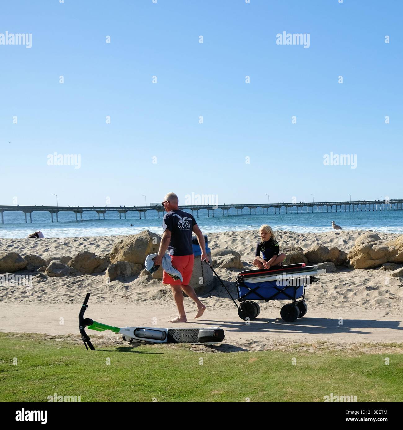 A father pulls his son on a collapsible cart with boogie boards in ...