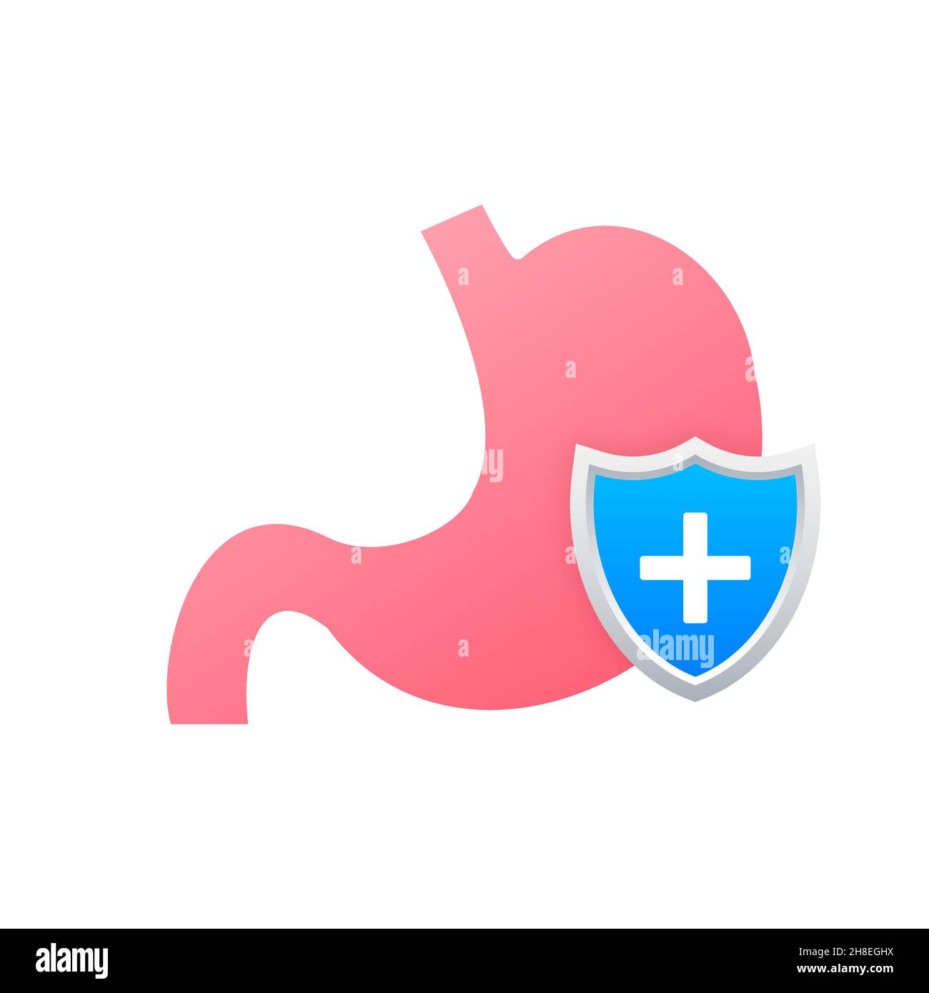 Stomach protection, Healthy protected intestine. Digestive system ...