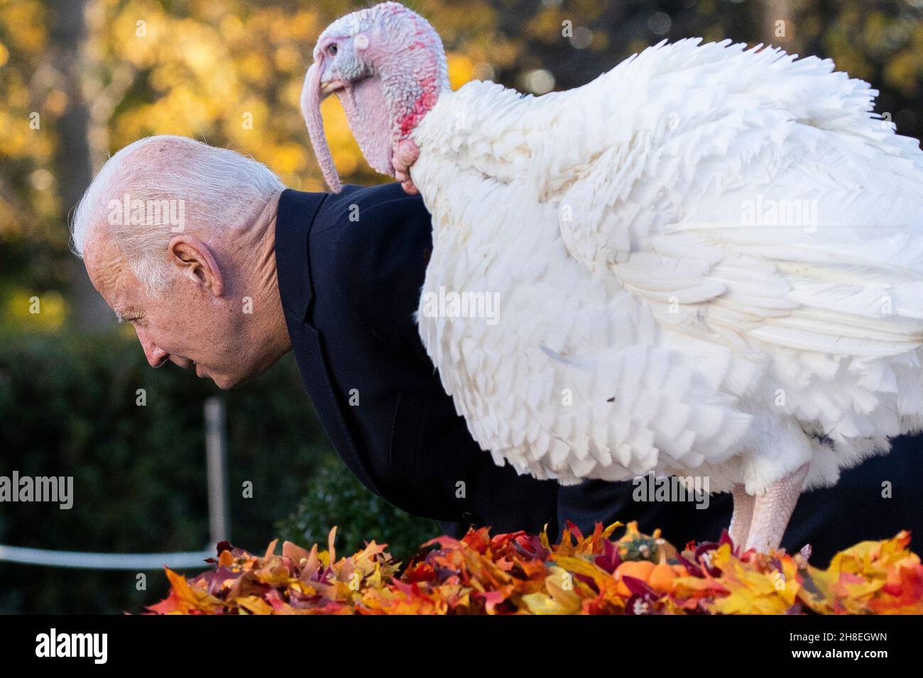 United States President Joe Biden is seen bending over behind the ...