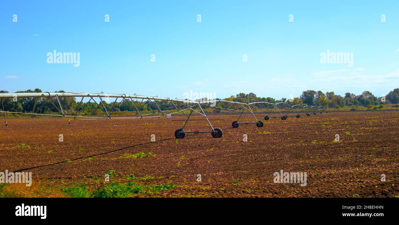 sprinkler irrigation system on the field. Cultivation of agricultural ...