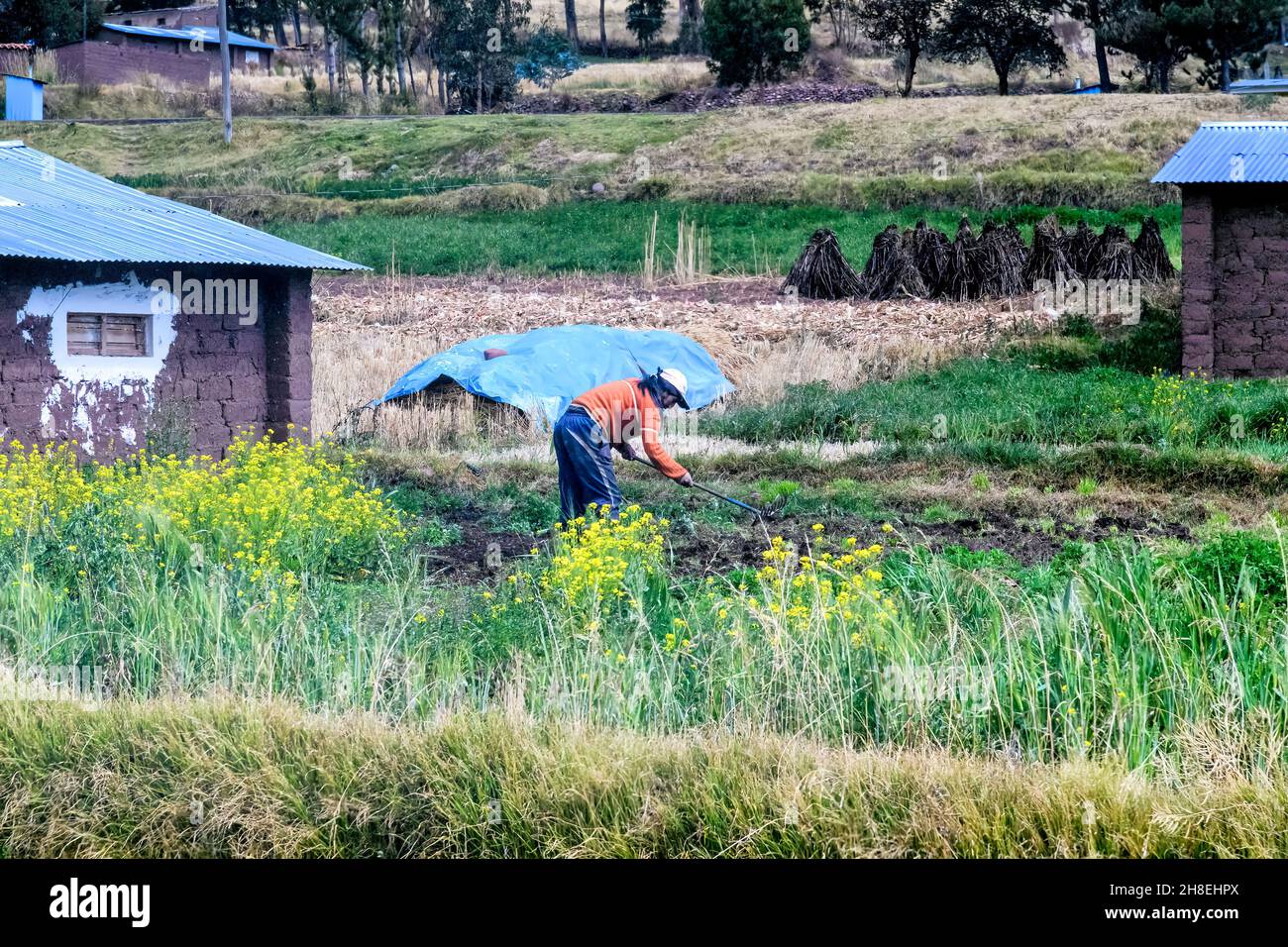 Peruviann farmer working on his land alongside the railtrack of the ...