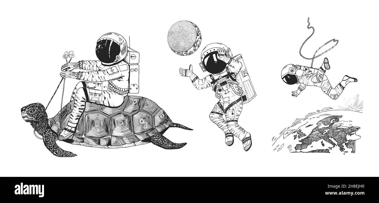 Turtle Astronaut 1280 By 1280