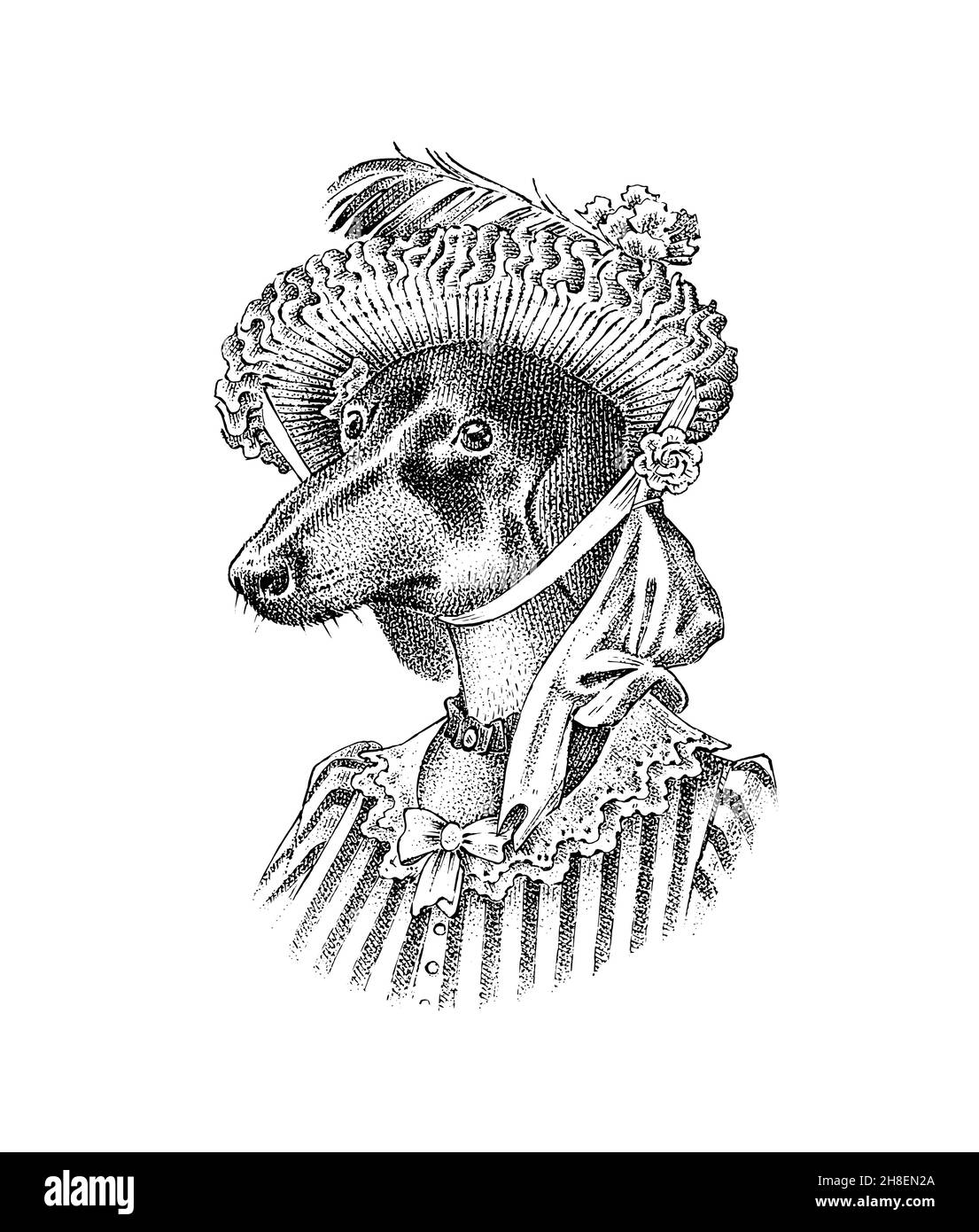 Old madam Stock Vector Images - Alamy