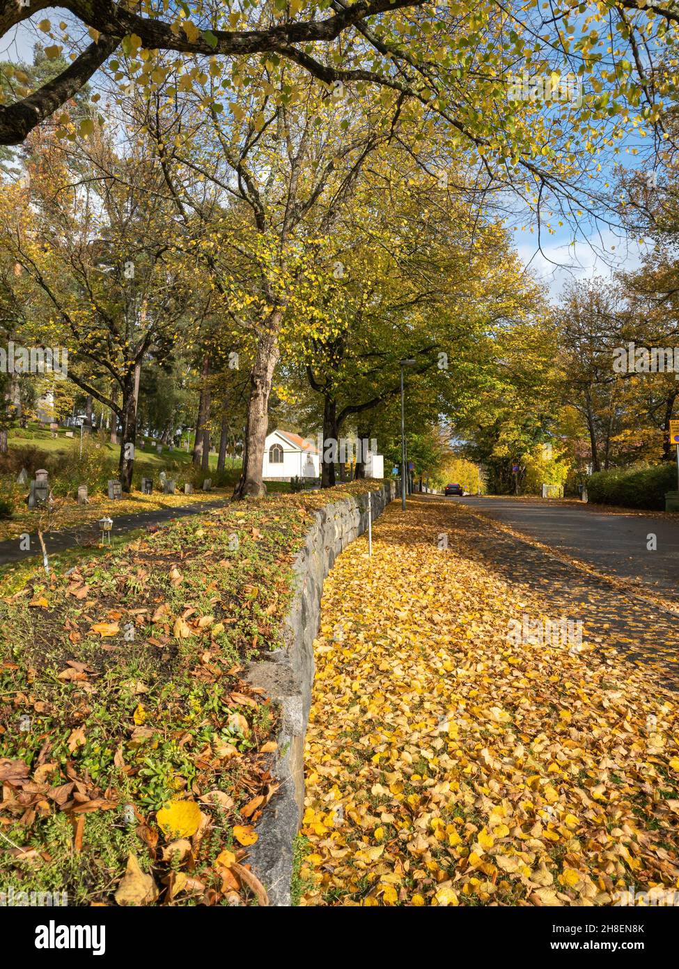 Stockholm autumn october hi-res stock photography and images - Alamy