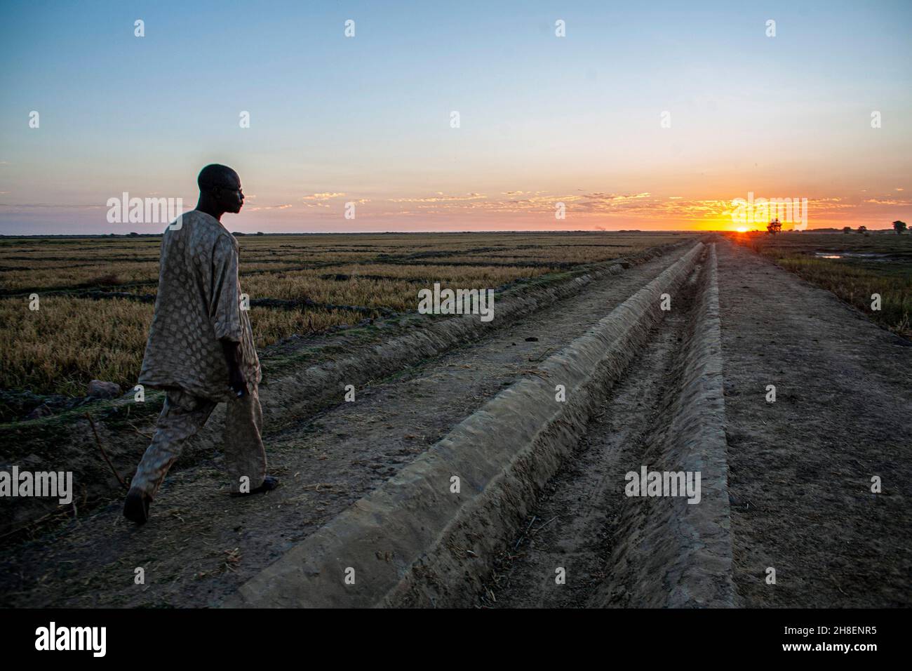 A man walks next to an irrigation system built to water rice fields ...