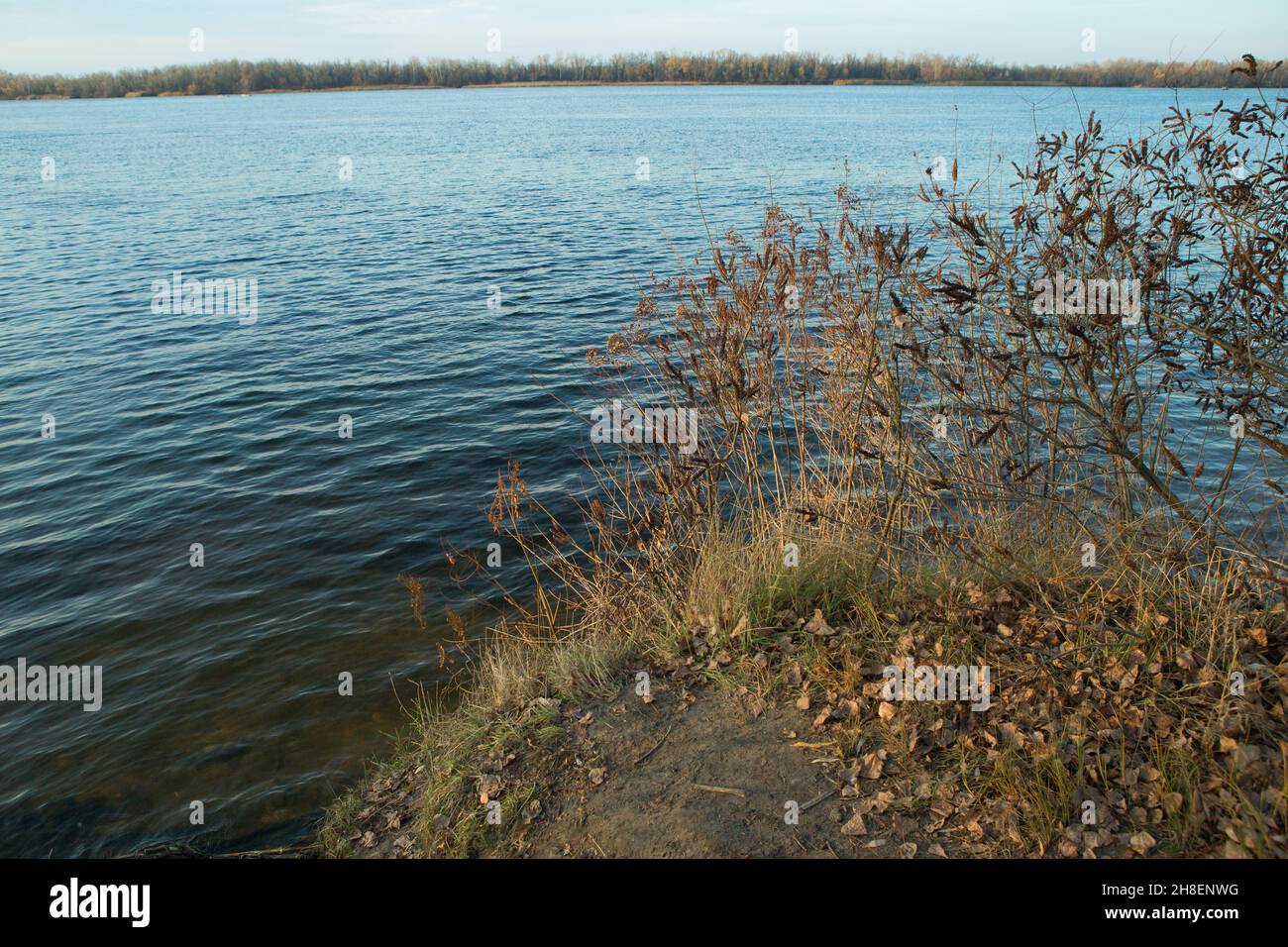 Autumn river forest landscape with cloudy sky. Dust. Late fall Stock ...