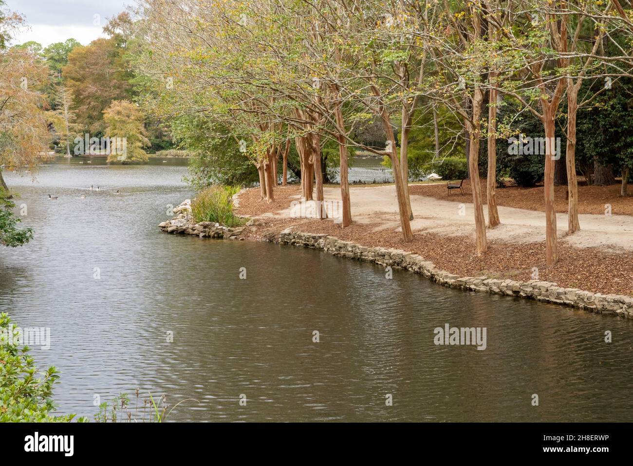Scenic view of the Swan Lake Iris Gardens park in Sumter, South ...