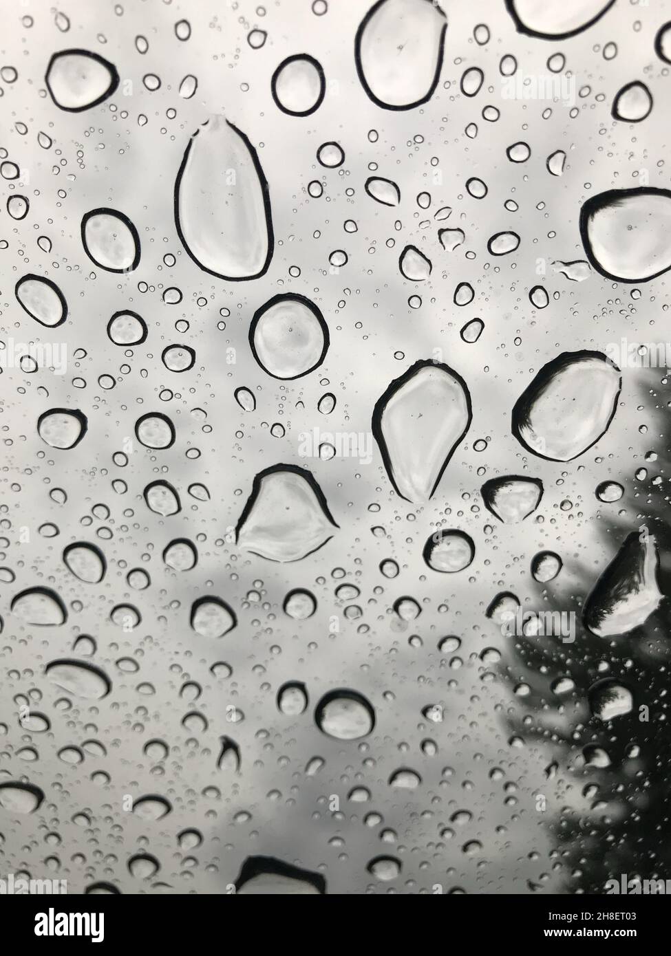 Vertical shot of rain droplets on a glass window Stock Photo - Alamy