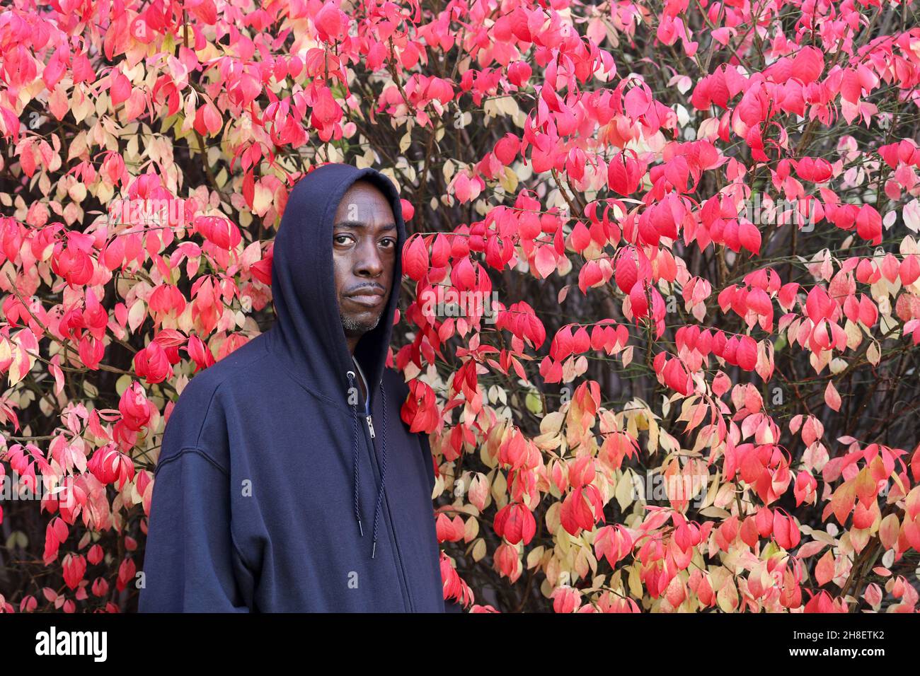 Adults portrait diversity hi-res stock photography and images - Alamy