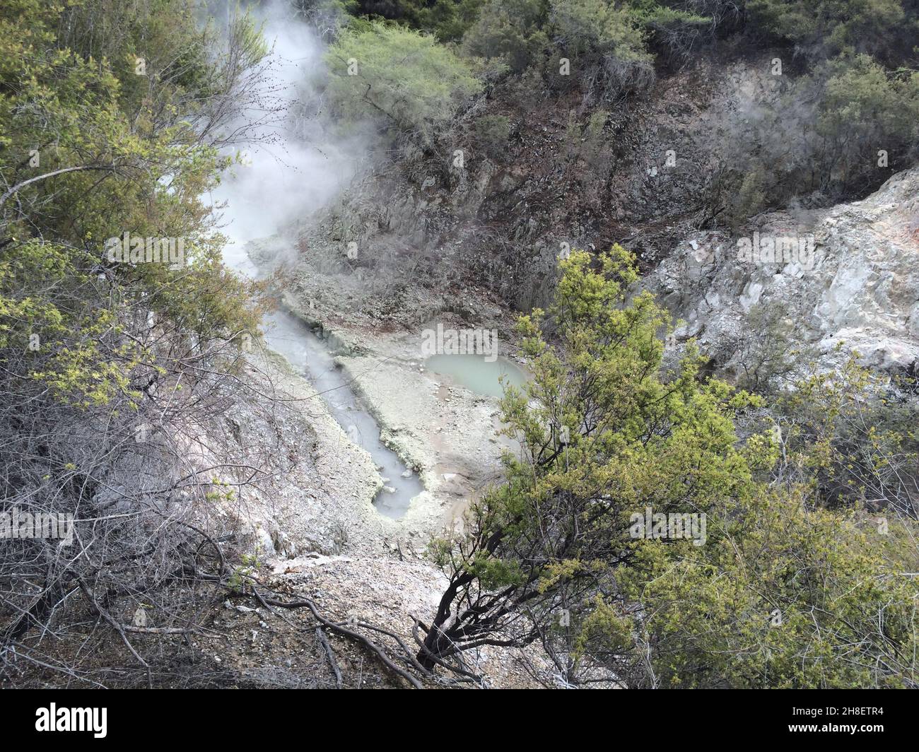 Beautiful view of the geyser with trees and ponds Stock Photo - Alamy