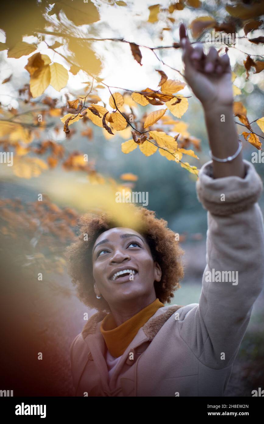 Woman tree branch hi-res stock photography and images - Alamy
