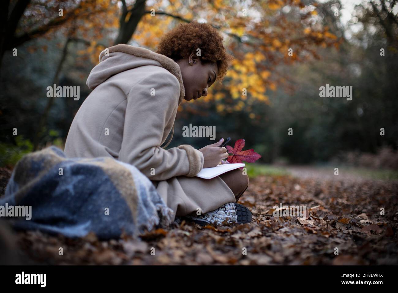 Journaling in nature hi-res stock photography and images - Alamy