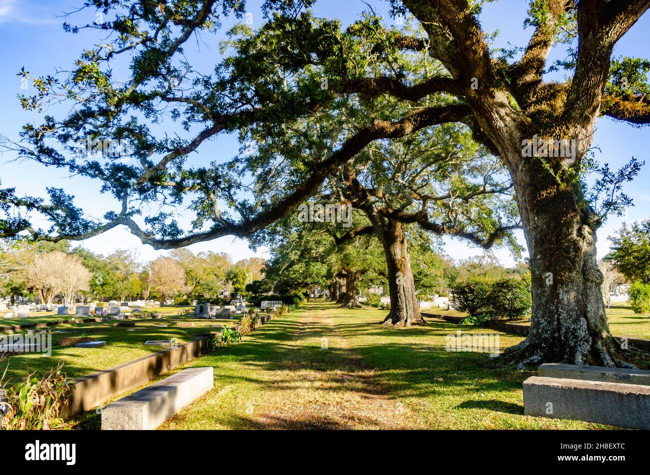 Magnolia Cemetery is pictured, Nov. 26, 2021, in Mobile, Alabama. The ...