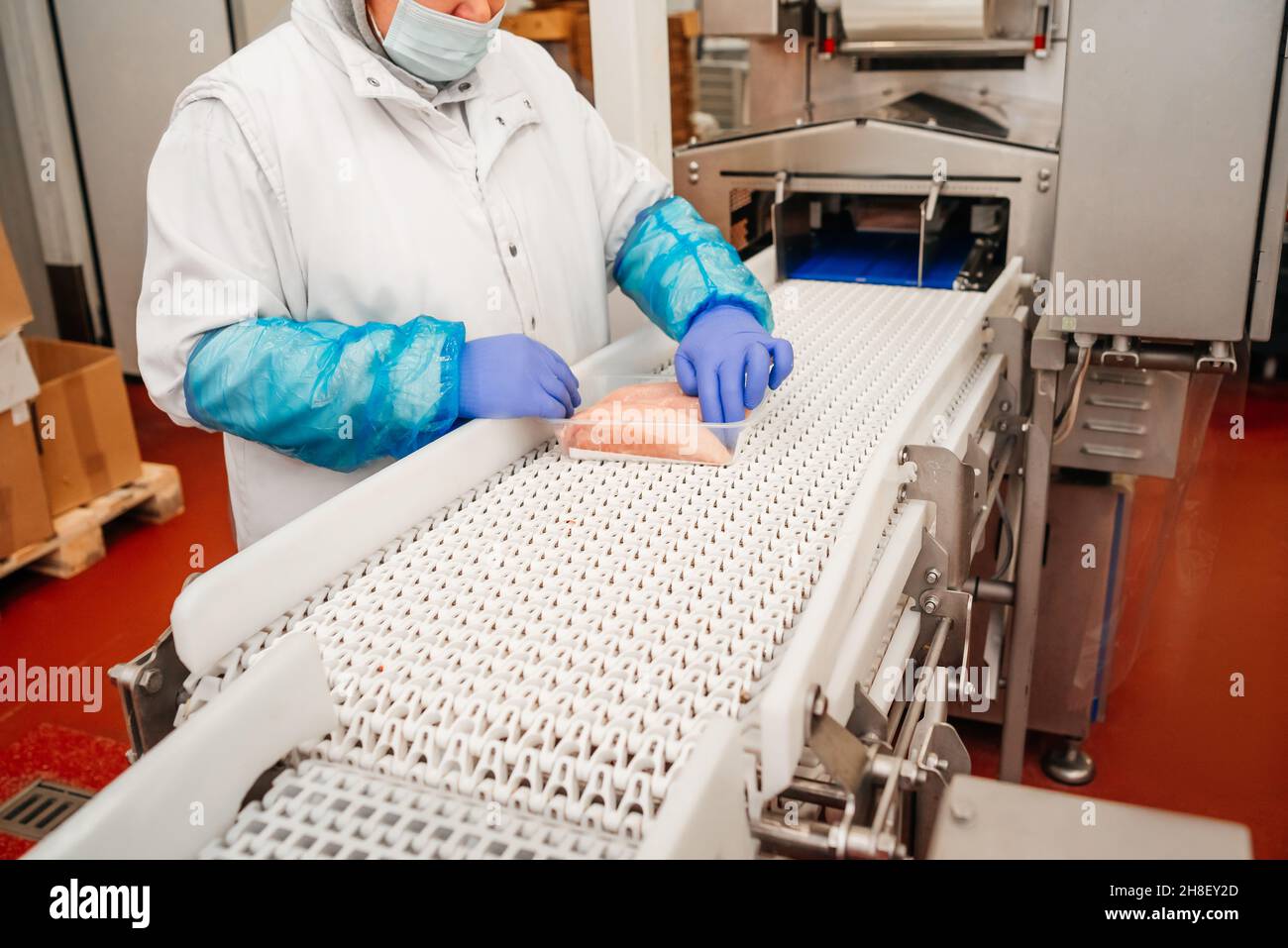 Line for the production of semi-finished meat products.Meat processing ...