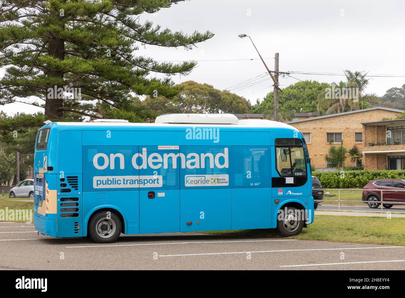 Sydney bus public transport hi-res stock photography and images - Alamy